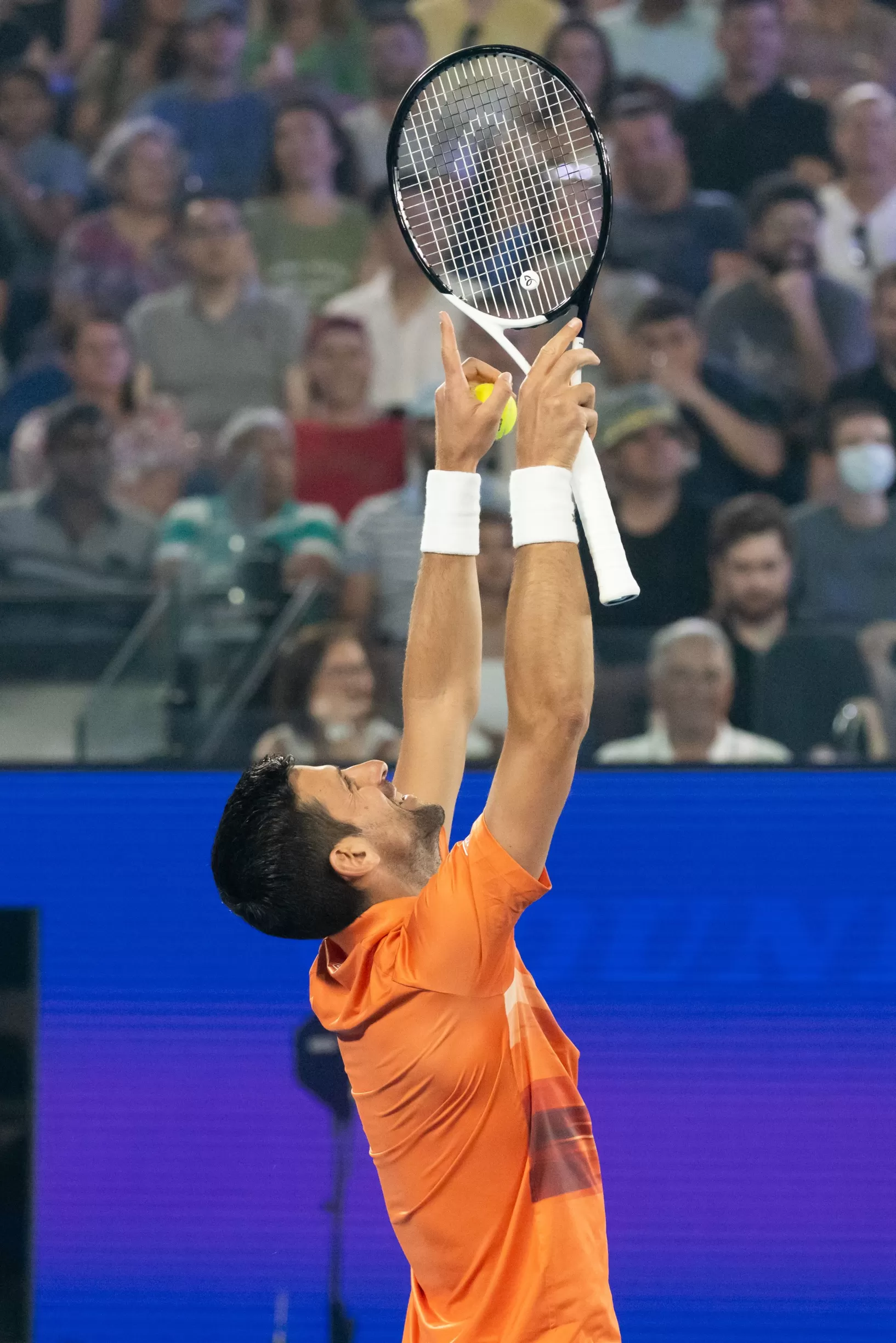 Novak Djokovic #7f42 | Ken Burns Effect | Free Phone Live Wallpaper ...