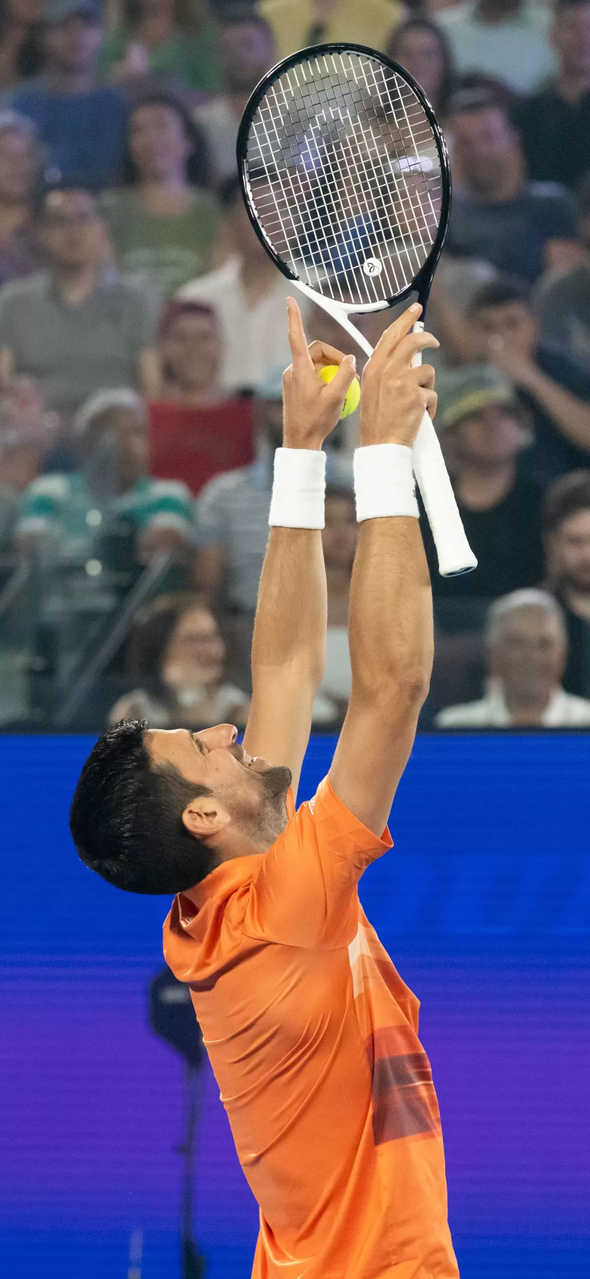 Novak Djokovic #7f42 | Ken Burns Effect | Free Phone Live Wallpaper ...