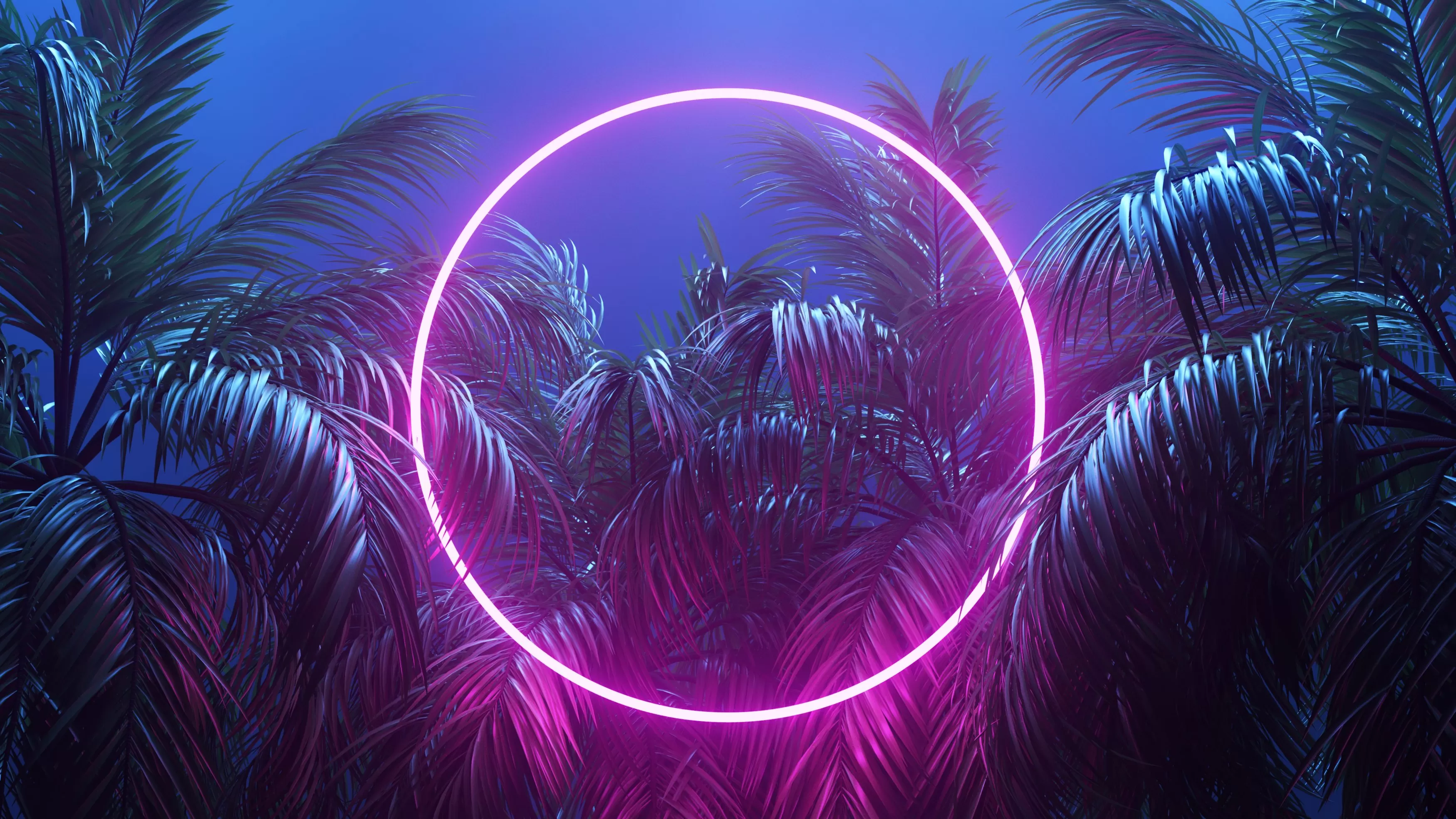4K Free Phone Live Wallpapers | Livewallpaper.io