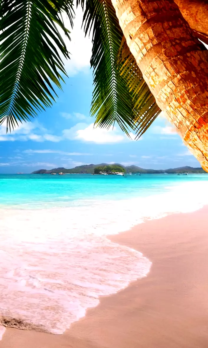 Samsung Galaxy S25 Ultra Free Phone Live Wallpapers | Livewallpaper.io