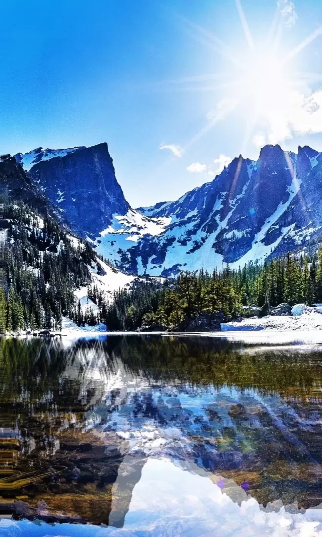 Samsung Galaxy S25 Ultra Free Phone Live Wallpapers | Livewallpaper.io